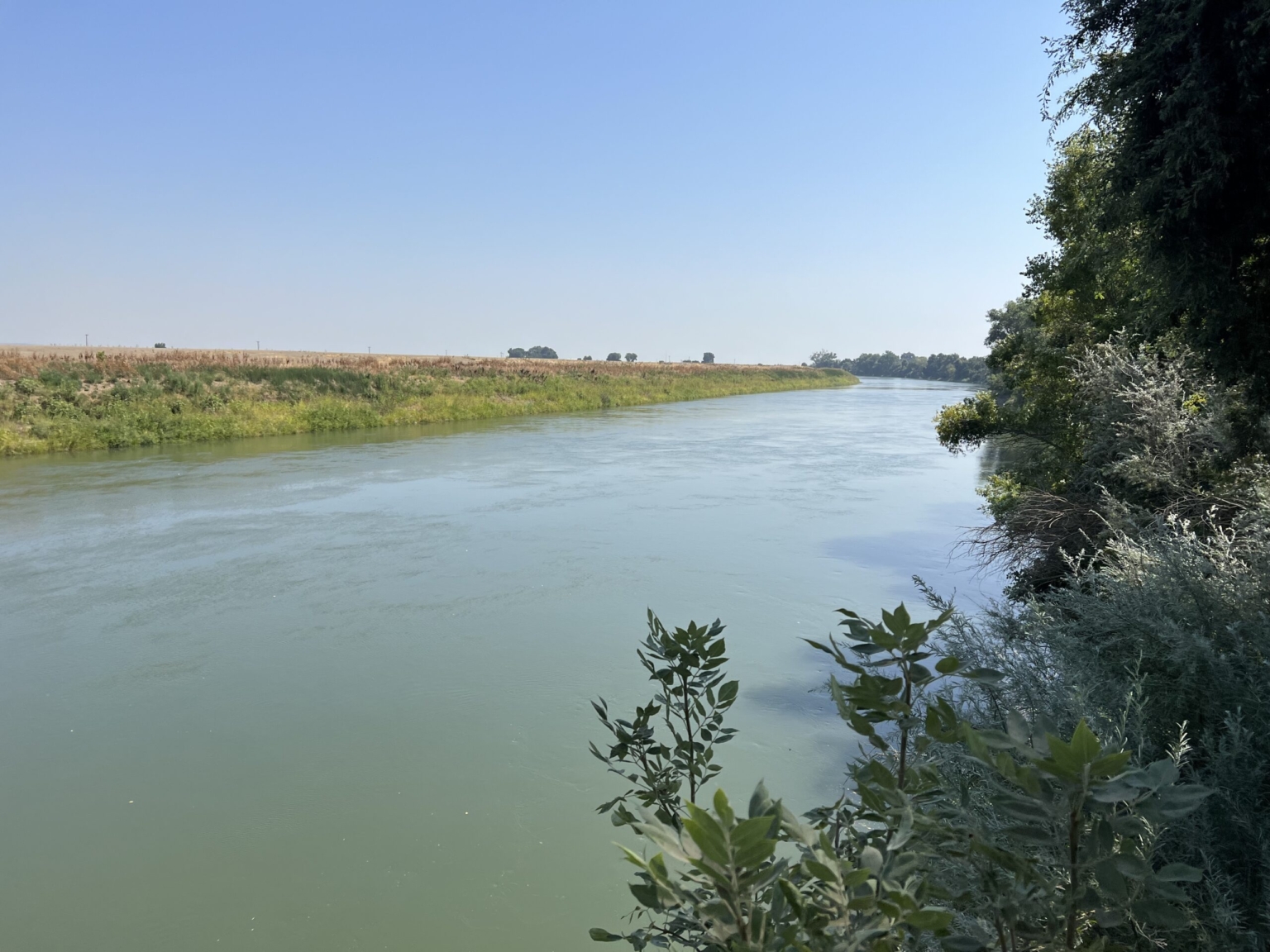 Hamilton City Project - River Partners
