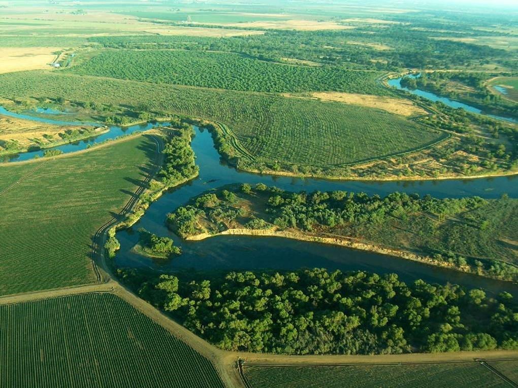 The Power of Healthy Rivers - River Partners