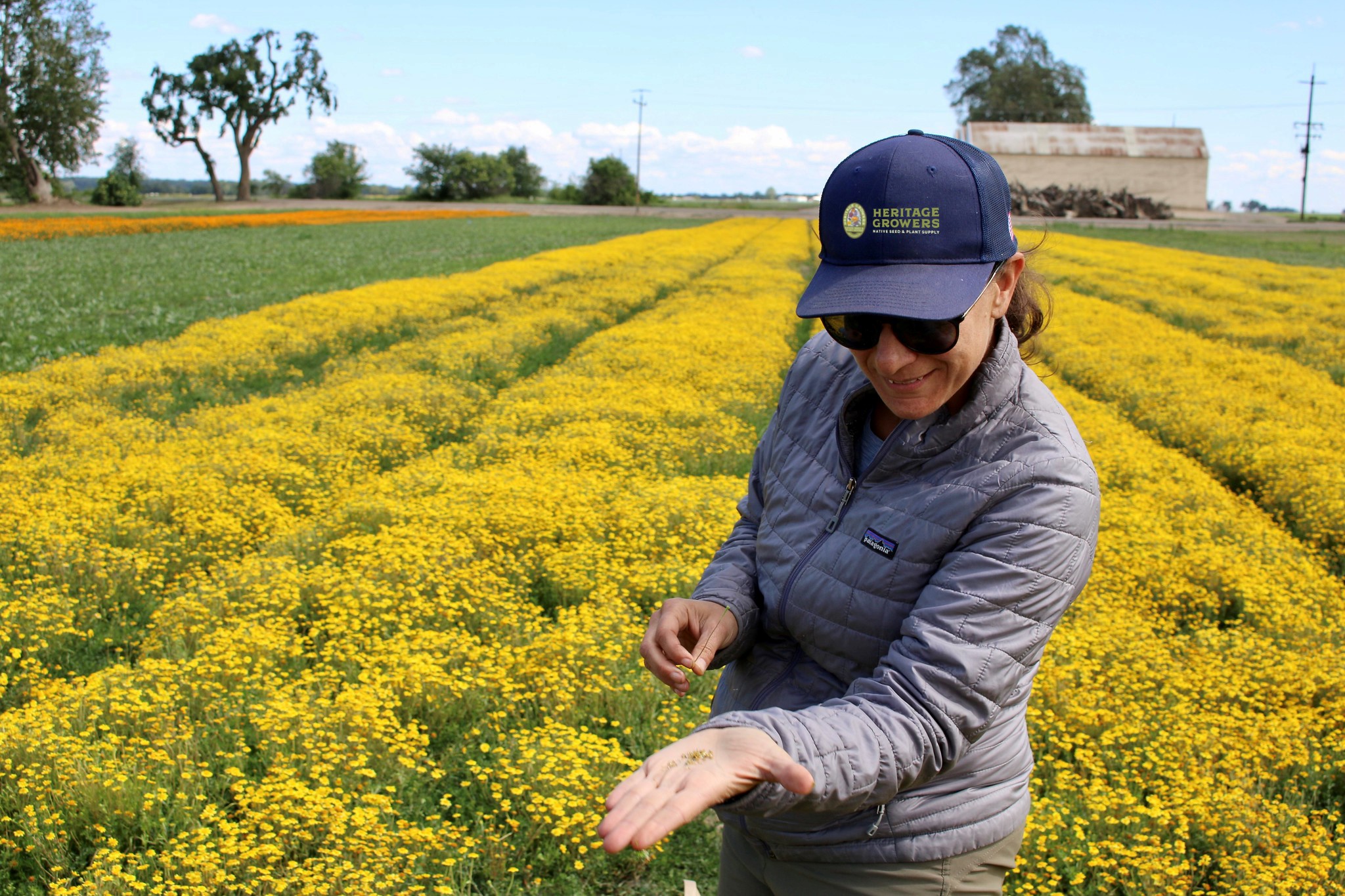 Breaking the Bottleneck of Native Seed Supply - River Partners