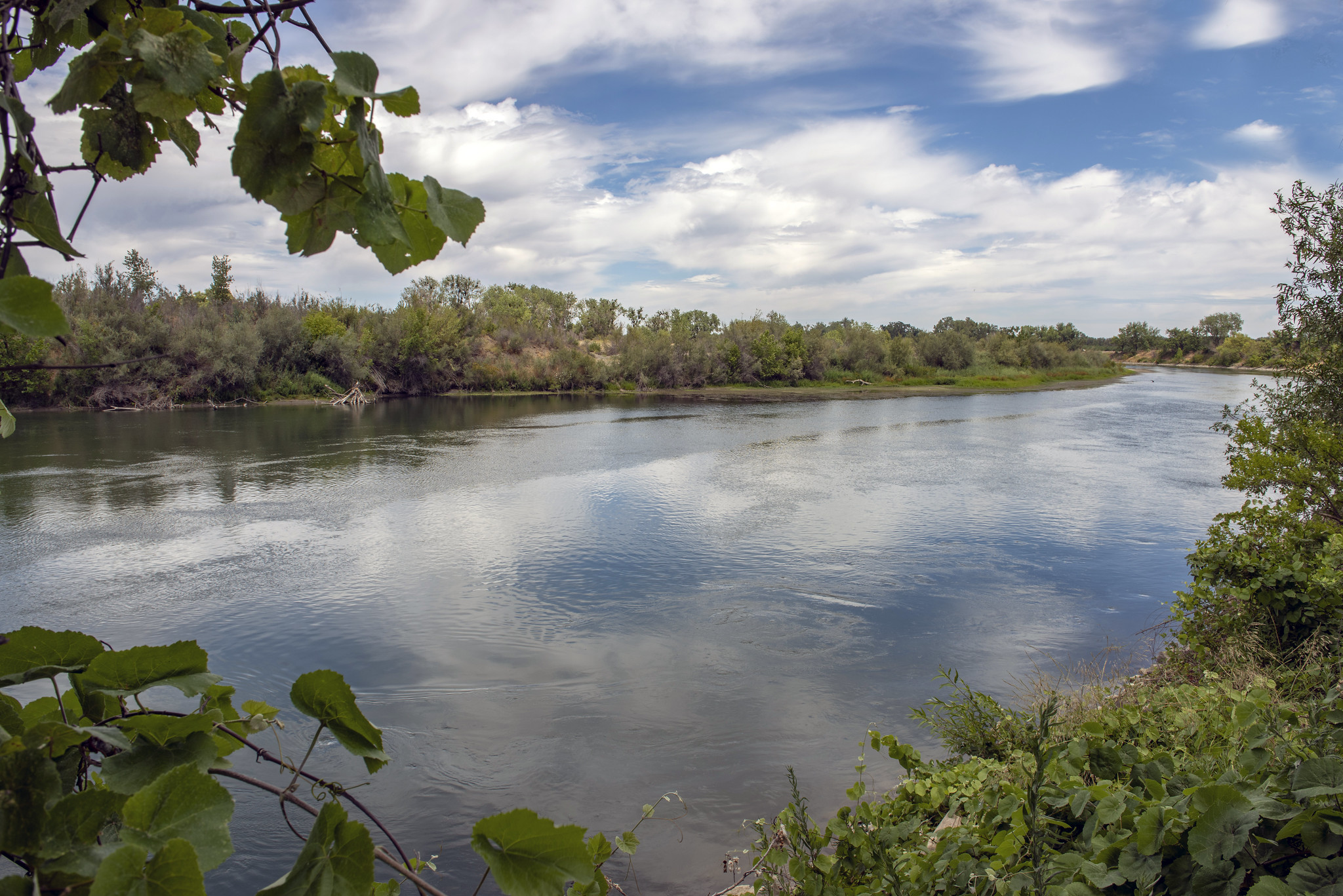 Flood It and Fish Will Come - River Partners