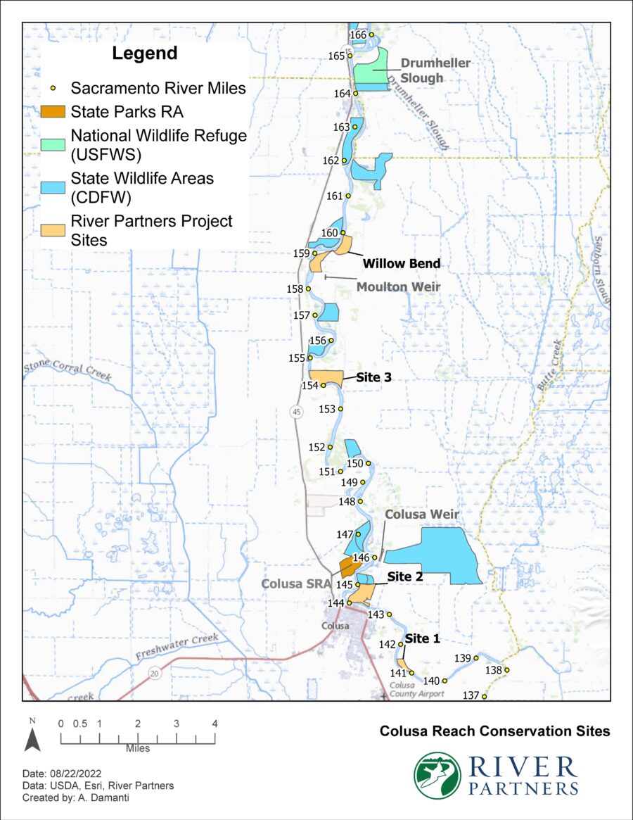 Flood It and Fish Will Come - River Partners