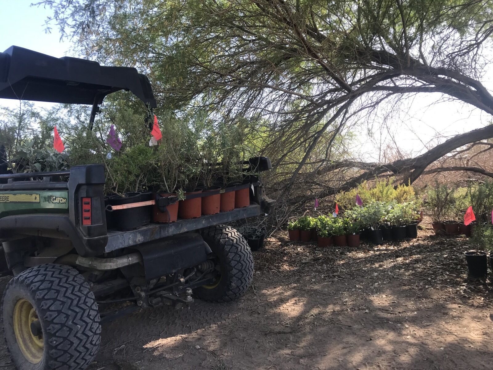 Bringing Life Back to the Salton Basin - River Partners