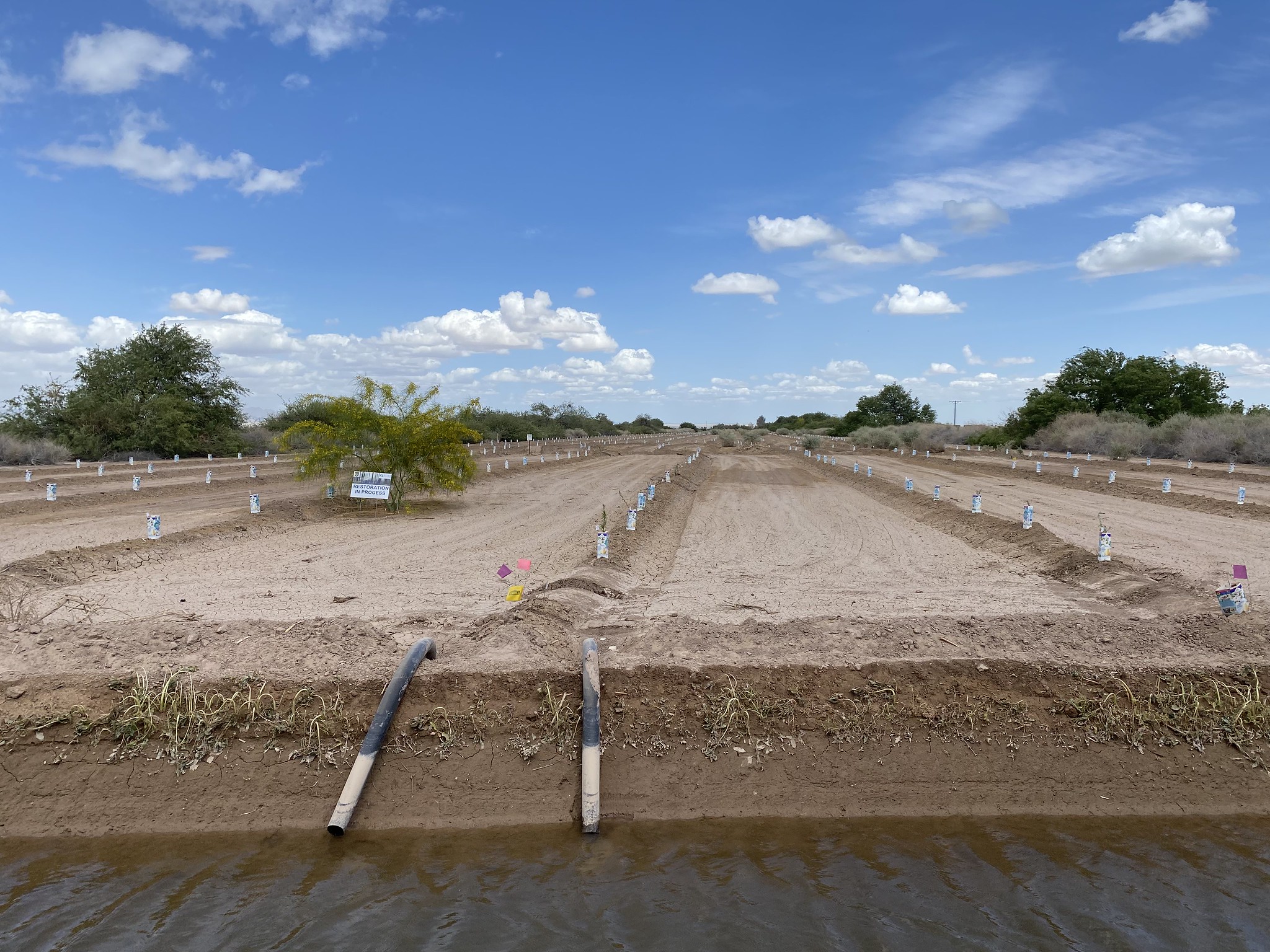 Bringing Life Back to the Salton Basin - River Partners