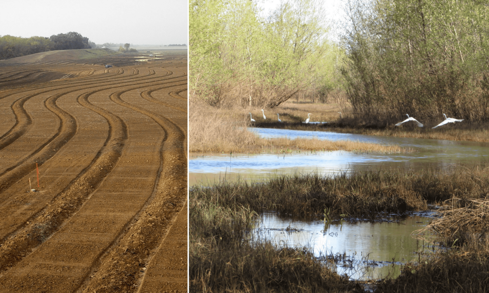How California Can Prepare for the Unexpected - River Partners
