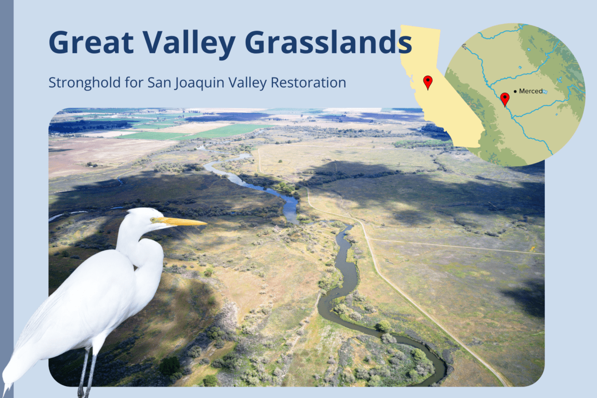 Stage Is Set for Decade of Record River Revival - River Partners