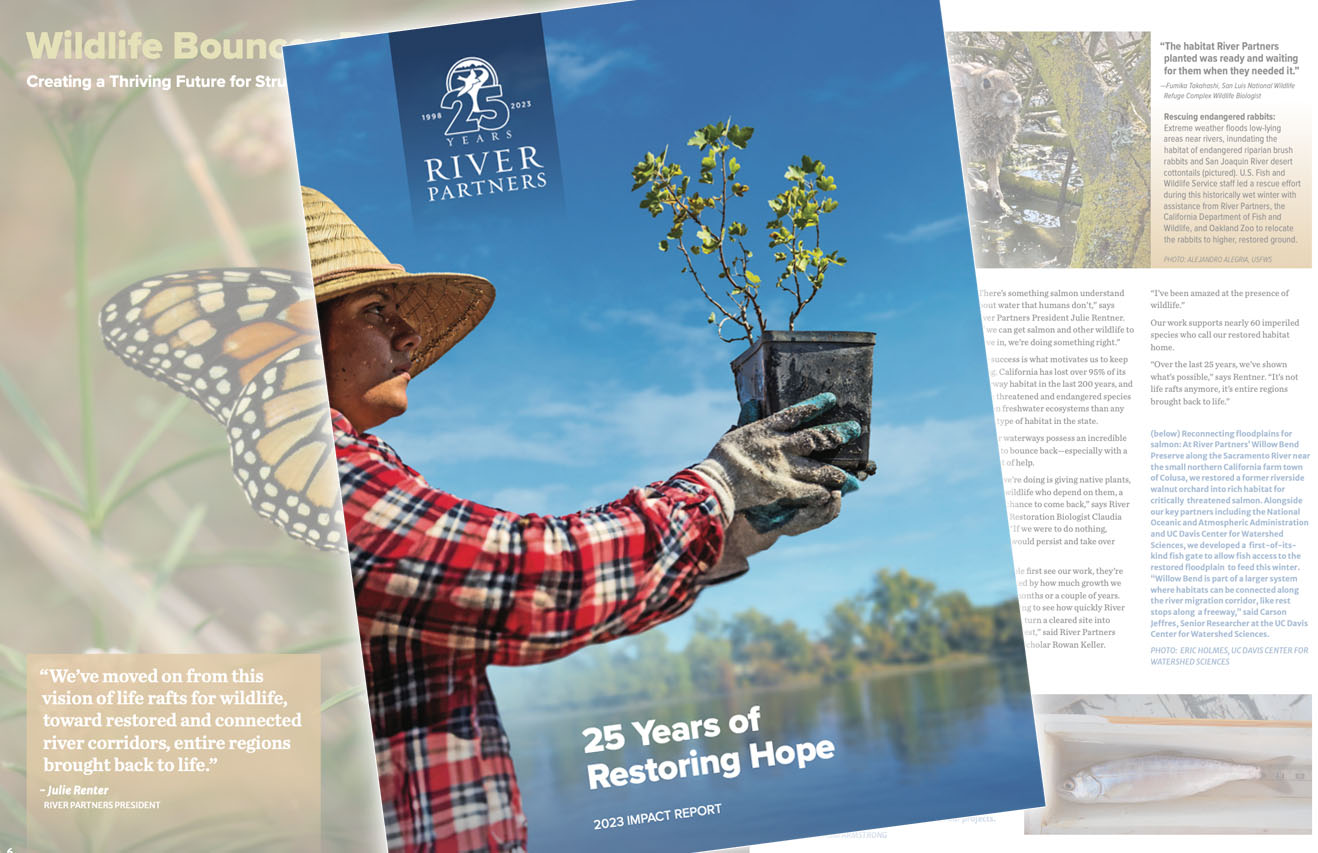 Annual Impact Report & Financials - River Partners
