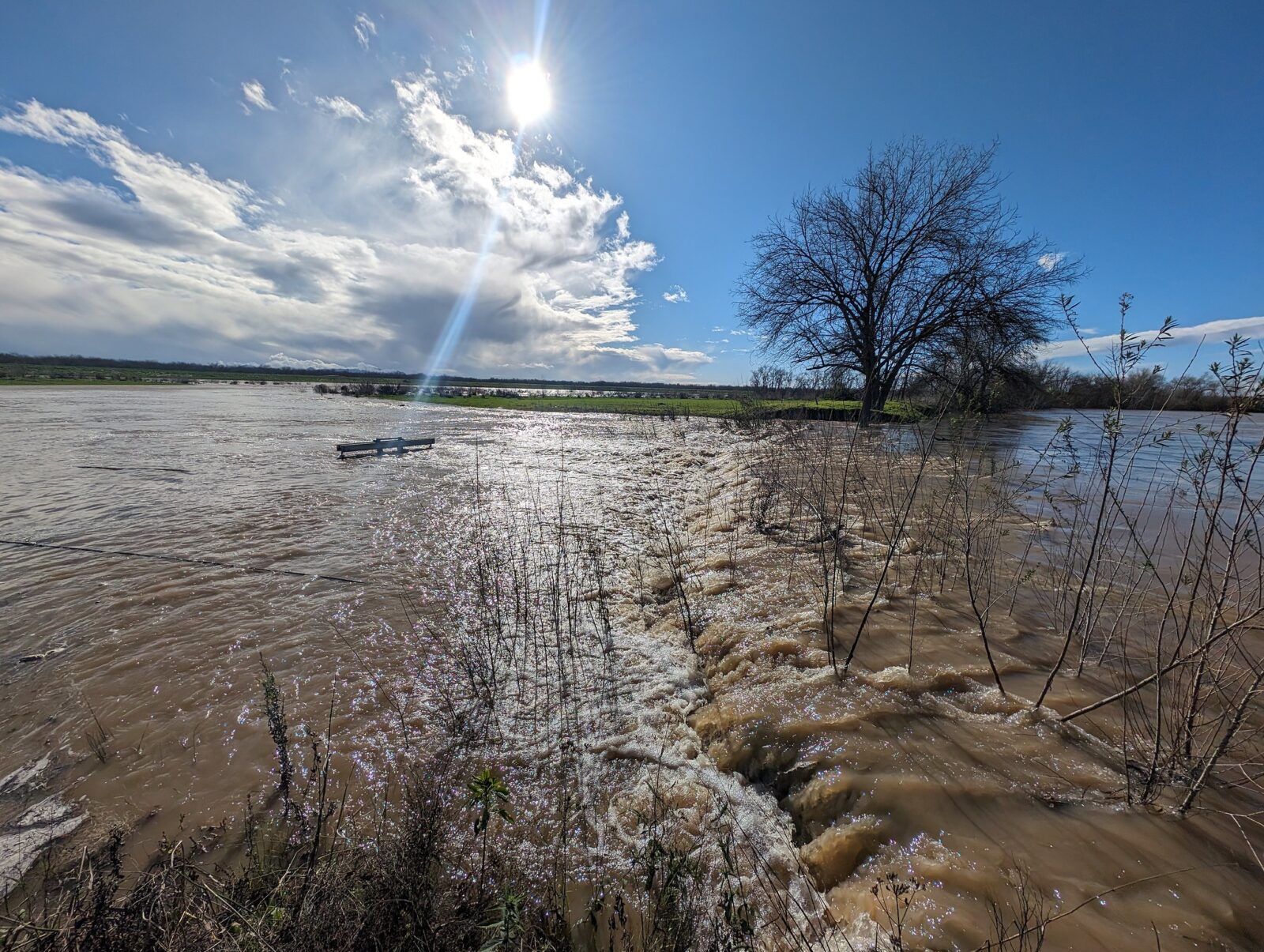 How We Can Harness the Power of Deluge for Endangered Fish - River Partners