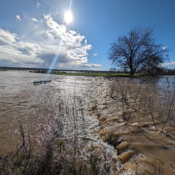 Project: Dos Rios Norte - River Partners