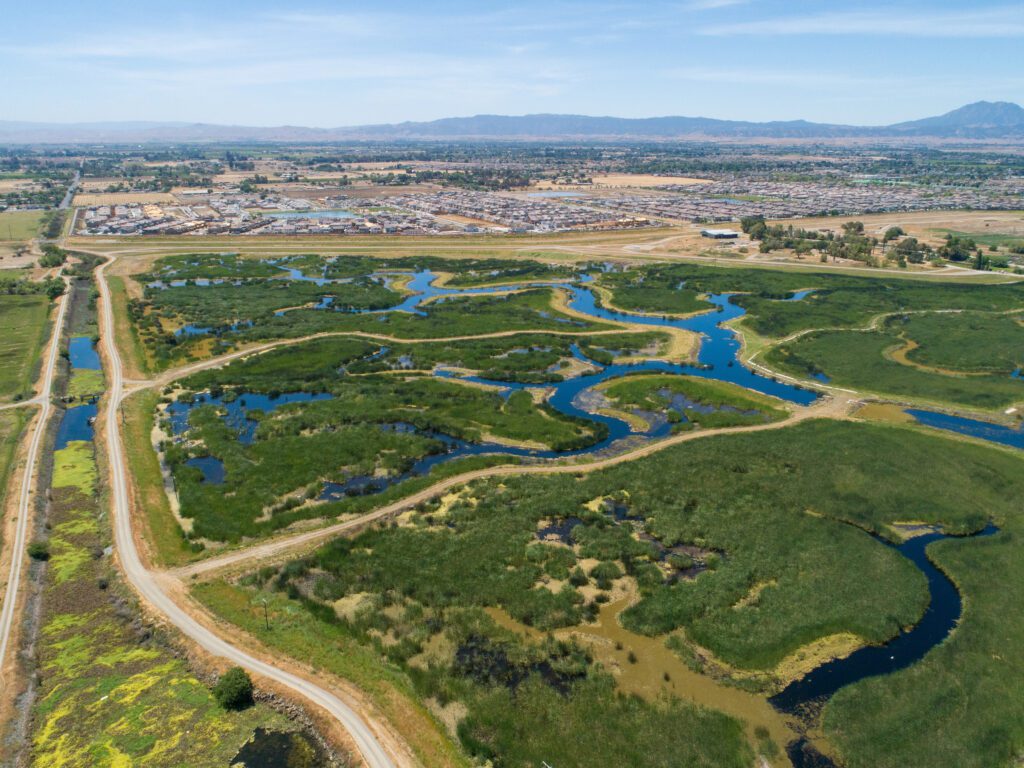 Dutch Slough - River Partners