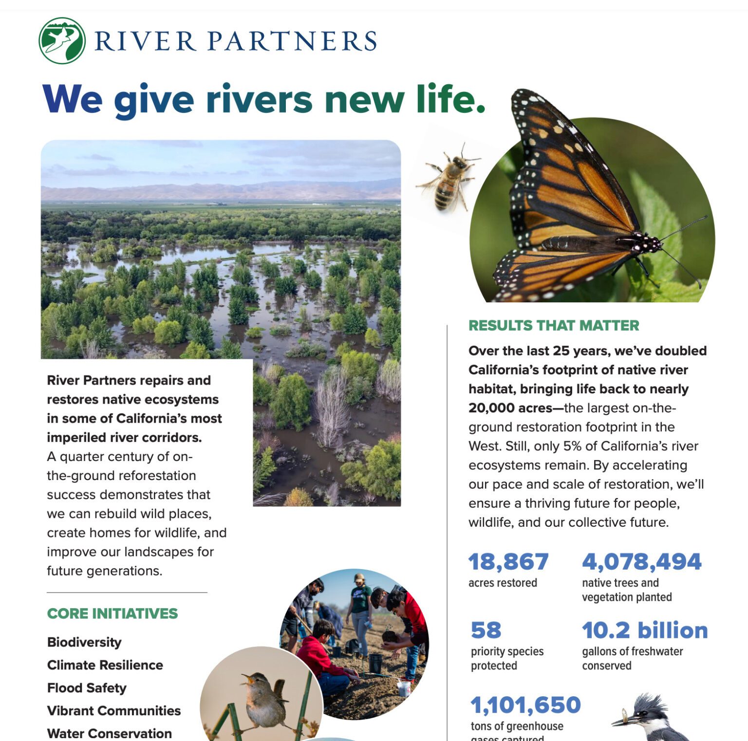 Collateral Dashboard - River Partners