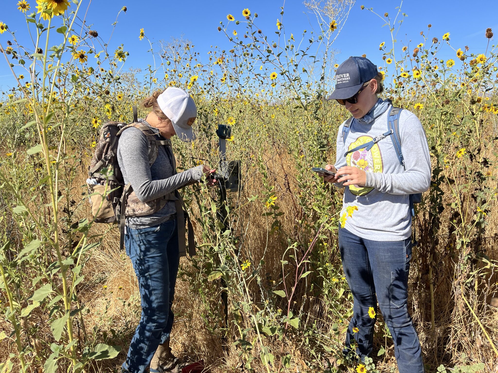 Breaking Ground: River Partners Pioneering Innovative Research for ...