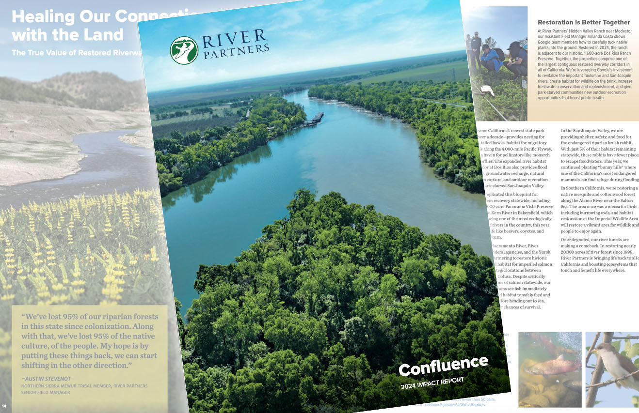 Annual Impact Report & Financials - River Partners