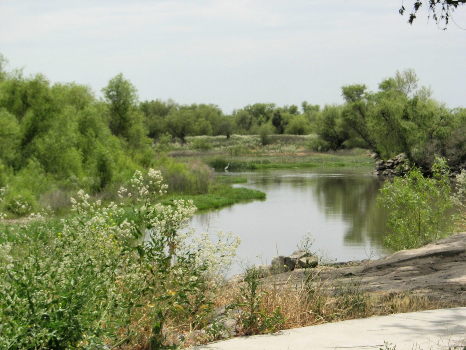 Great Valley Grasslands State Park - River Partners