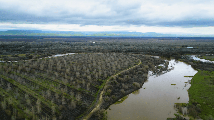 Grayson Riverbend Preserve - River Partners