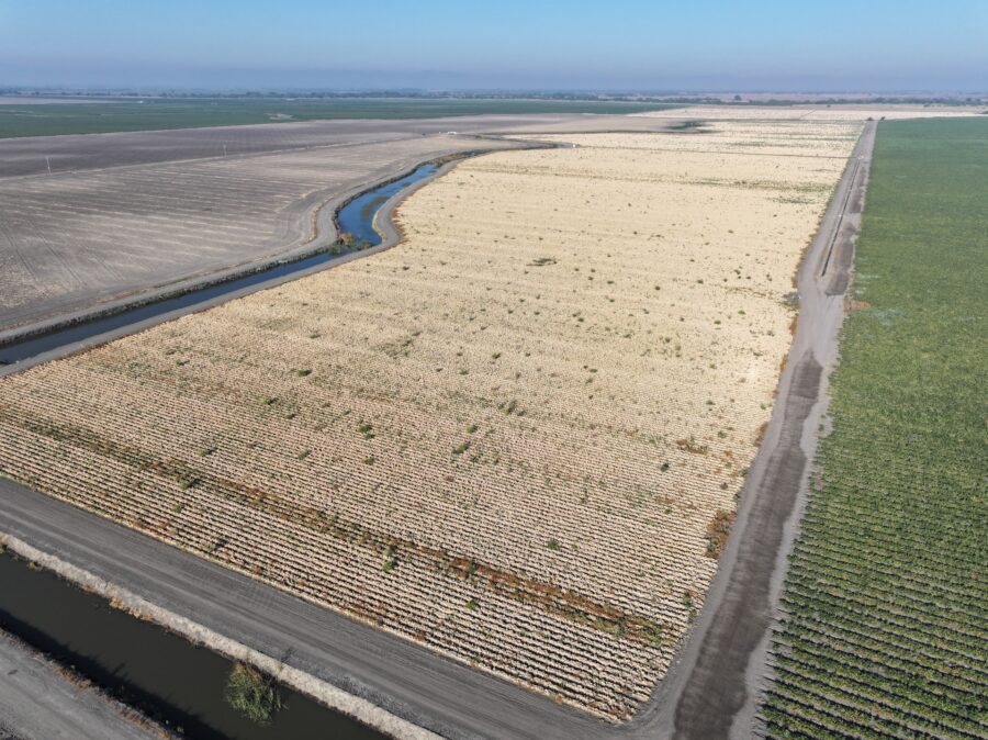 Sweetwater - River Partners