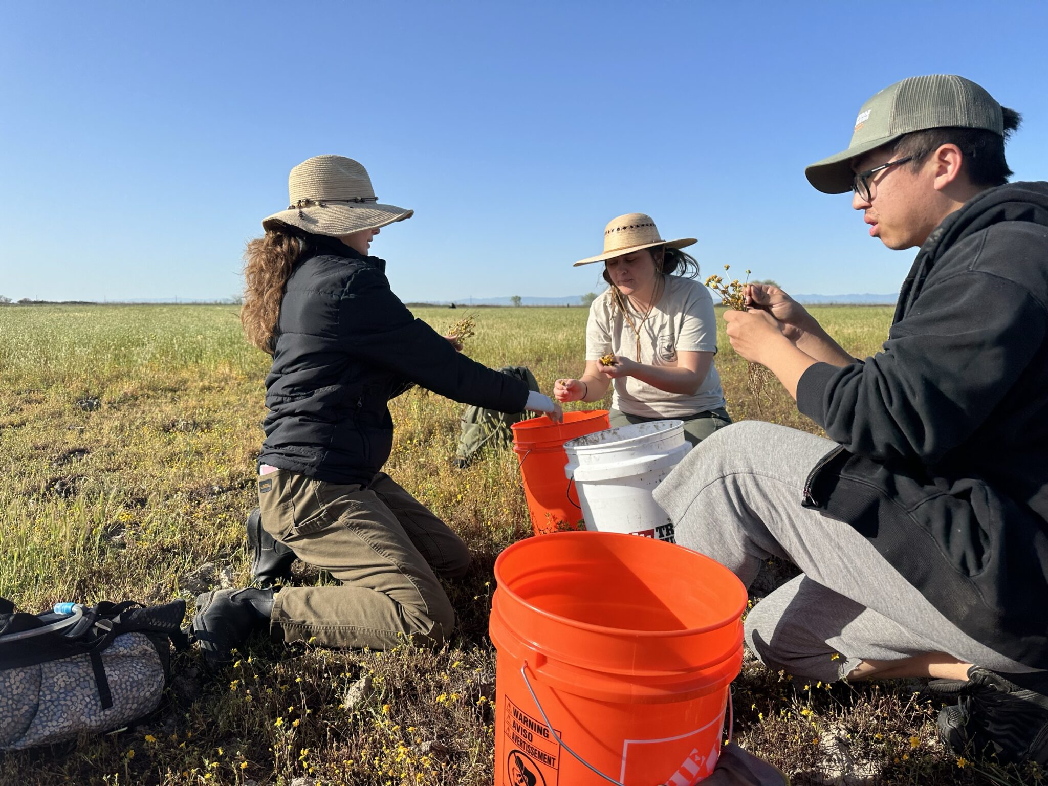 Seeding a Lifeline: Stepping Up to Save the Imperiled Western Monarch ...