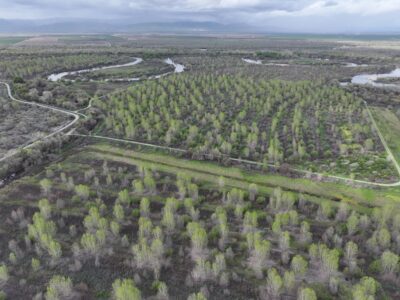 More than A Park: One Year at Dos Rios - River Partners