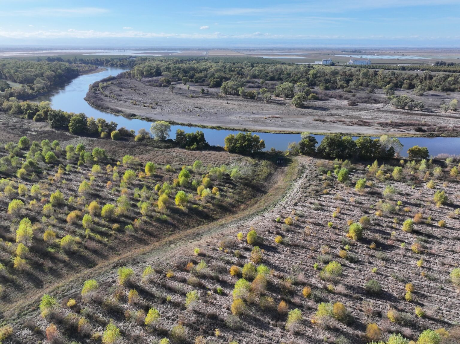 Repairing California Requires Thinking Like a River - River Partners