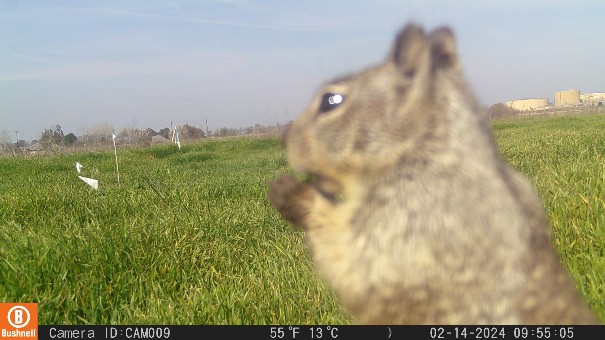 Eyes in the Wild: A River Partners Wildlife Journal – April Edition ...